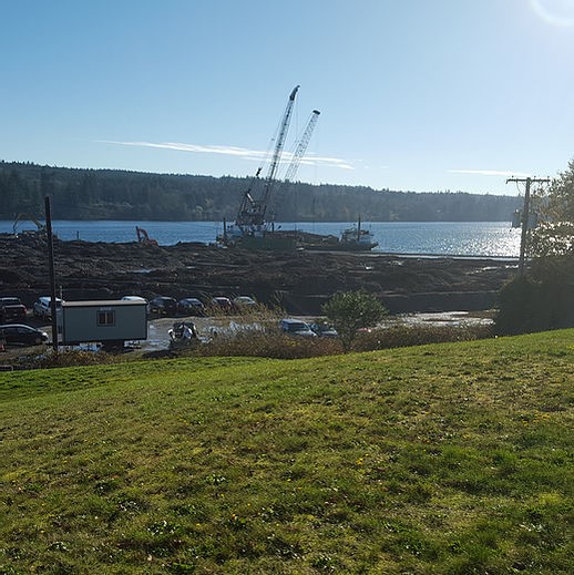 Port Gamble Bay Cleanup