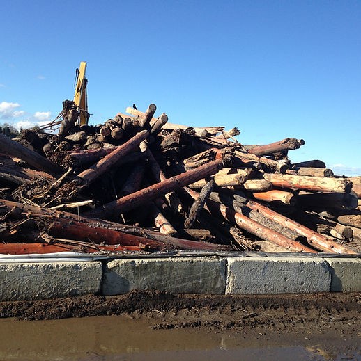 Port Gamble Bay Cleanup